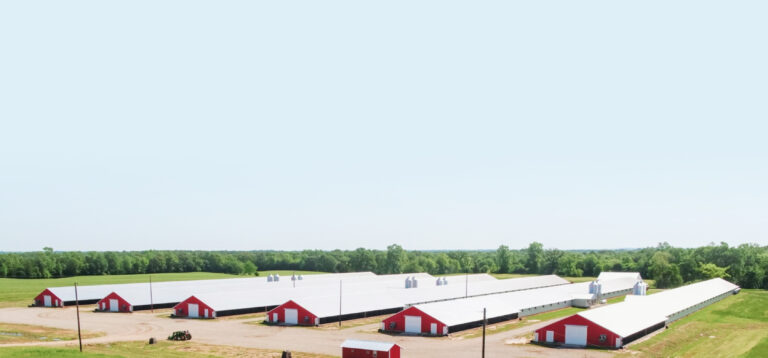 Brands - Wayne-Sanderson Farms®