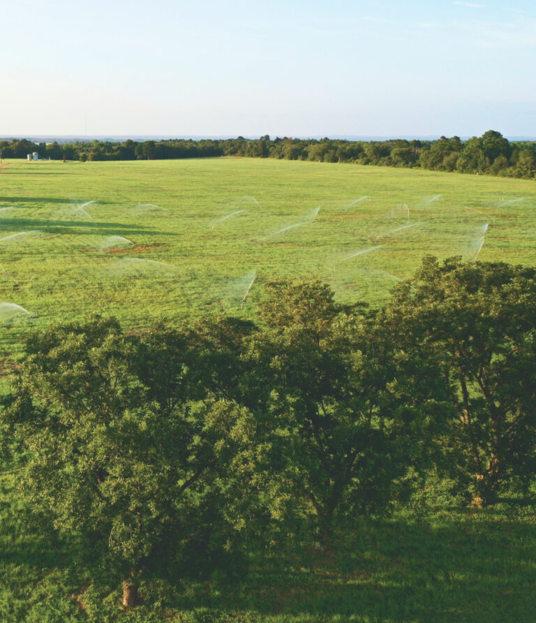 Our Story - Wayne-Sanderson Farms®