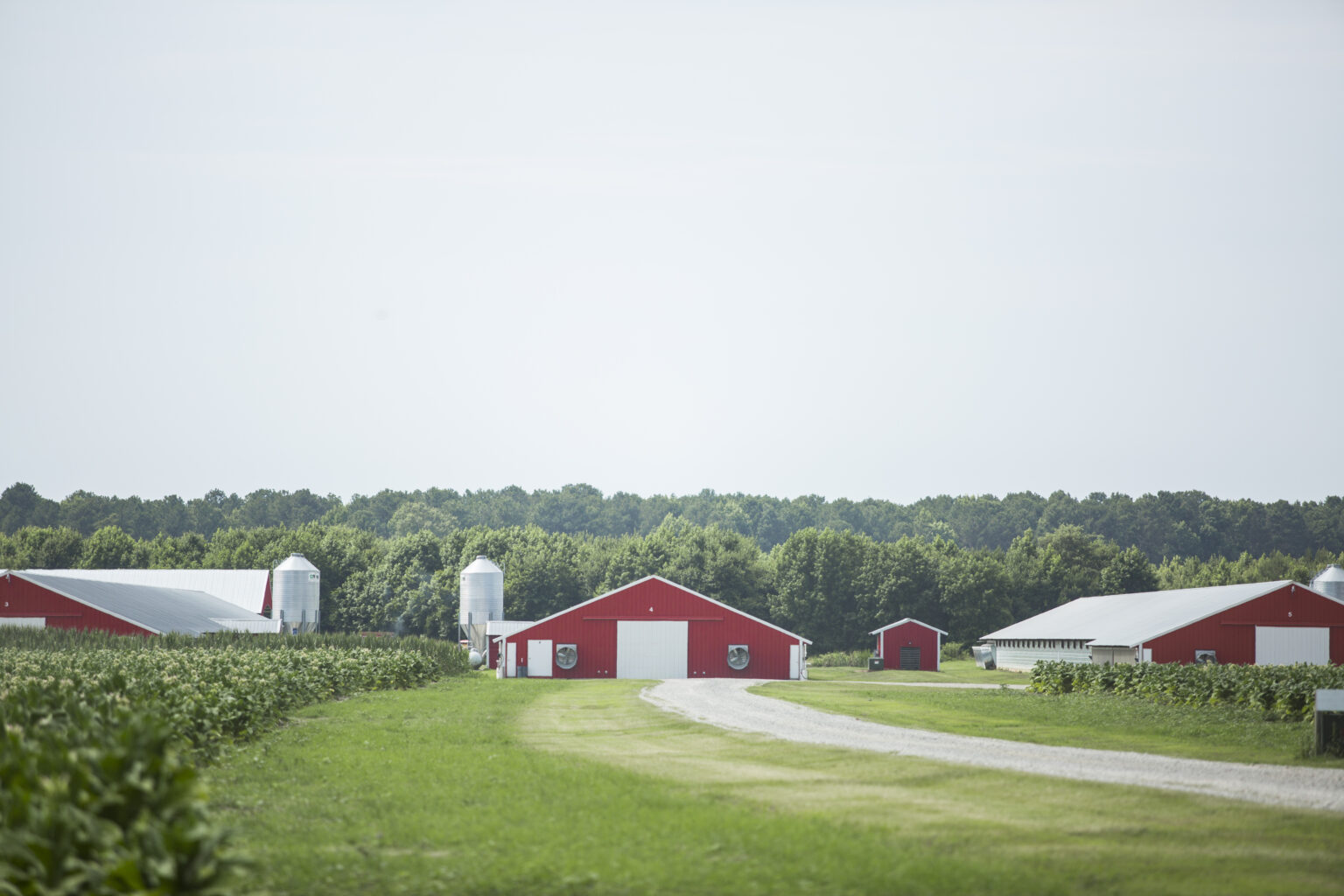 Wayne-Sanderson Farms and Vestwell Collaborate to Create Retirement ...